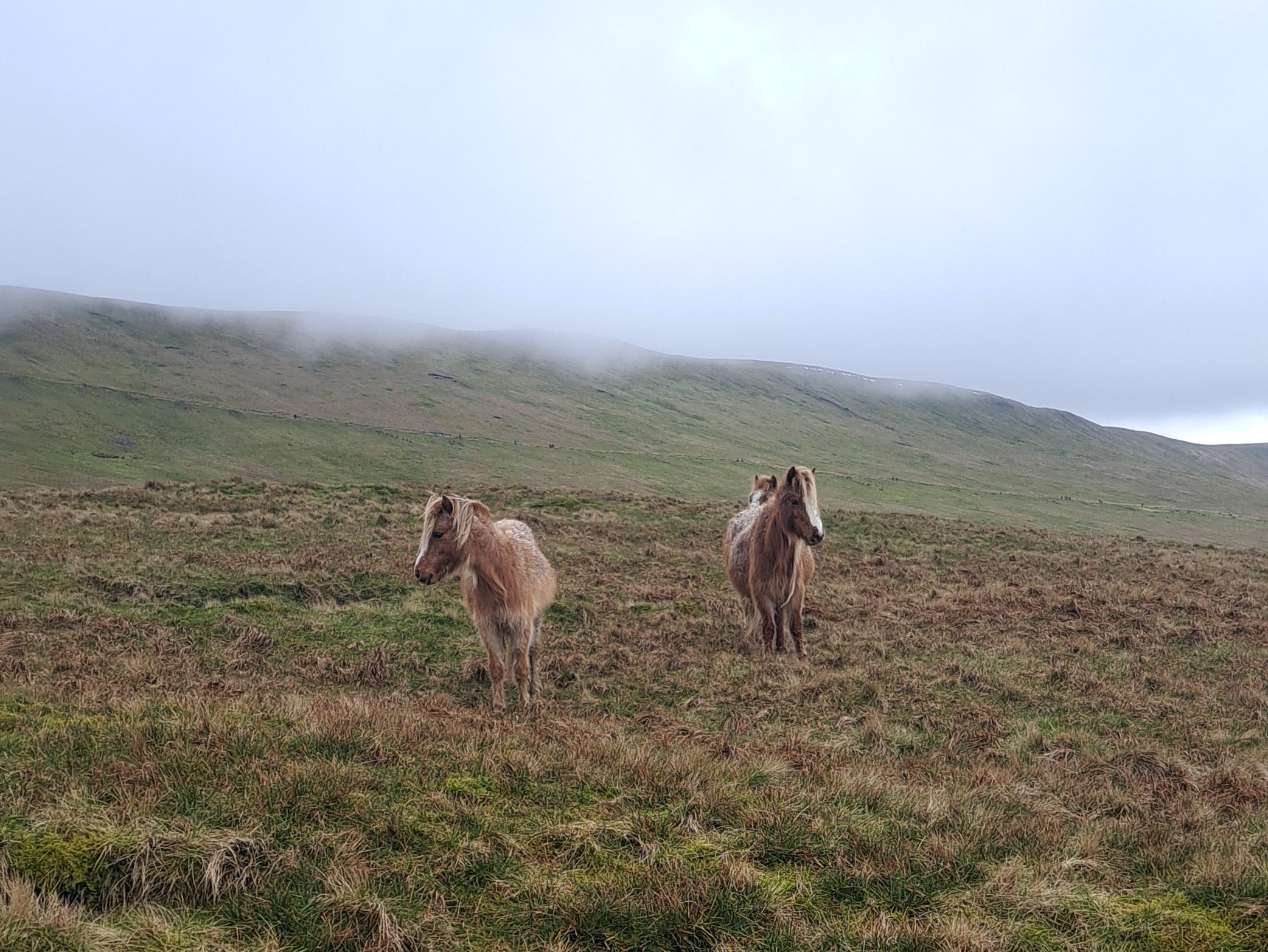 Activities - Life Changing Activities